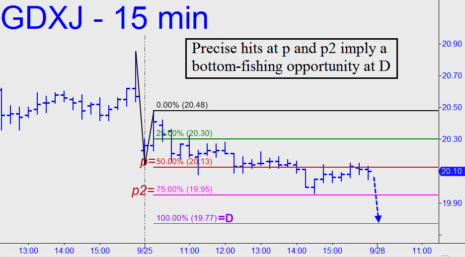 GDXJ - Junior Gold Miner ETF (Last:20.81) - Ricks Picks