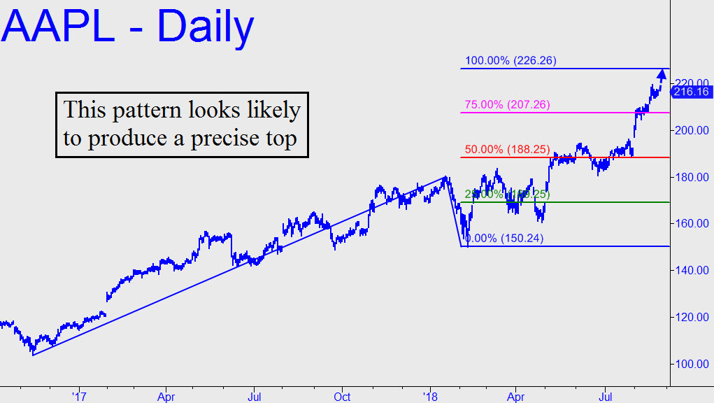 AAPL - Apple Computer (Last:223.12) - Ricks Picks