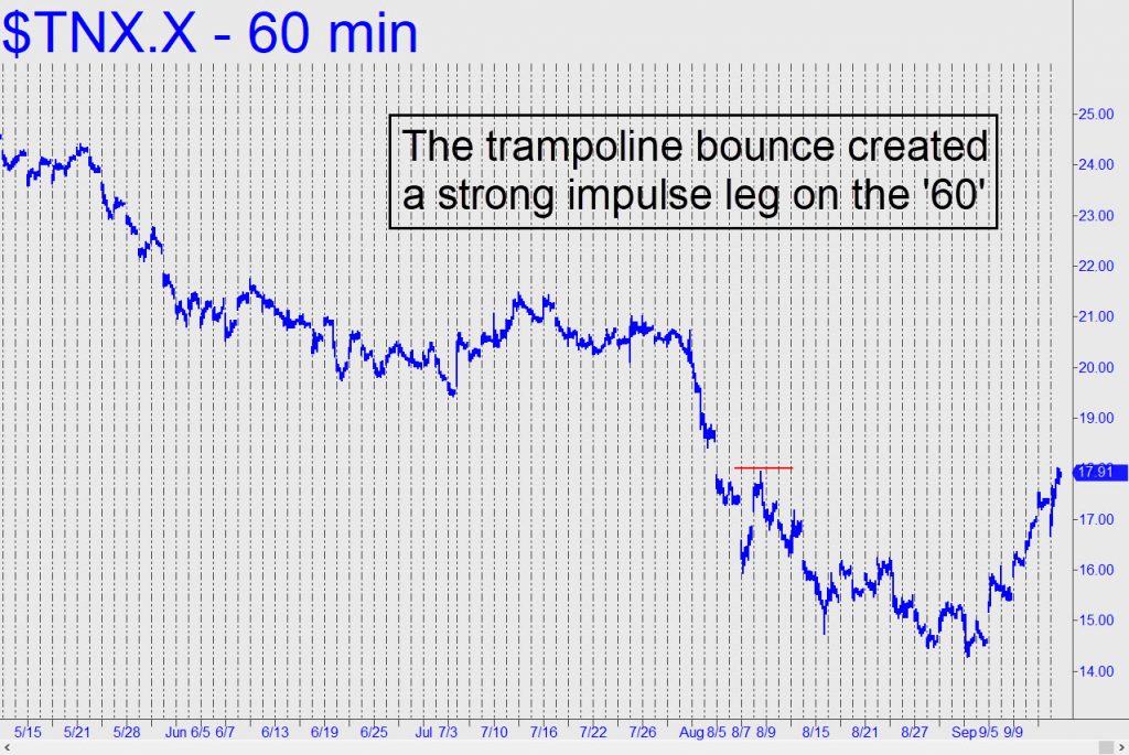 TNX trampoline - Ricks Picks