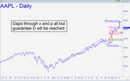 AAPL - Apple Computer (Last:462.09) - Ricks Picks