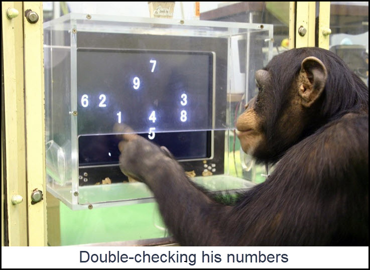 Double-checking - Ricks Picks