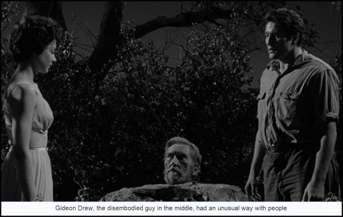 Rick's Picks - Rick Ackerman - Ricks Picks