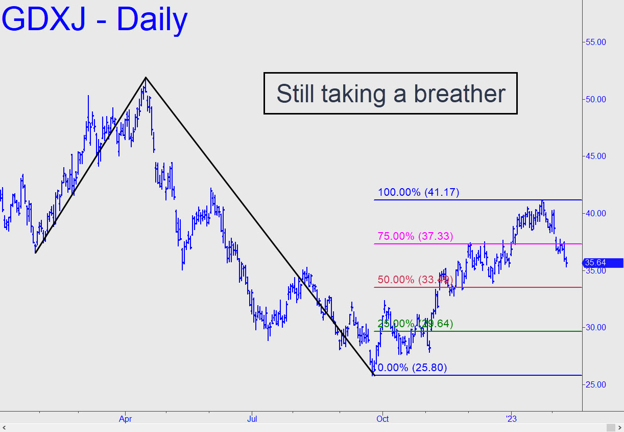 GDXJ - Junior Gold Miner ETF (Last:35.64) - Ricks Picks