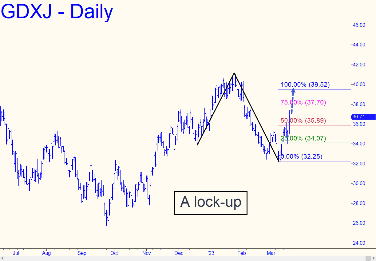 GDXJ - Junior Gold Miner ETF (Last:35.91) - Ricks Picks