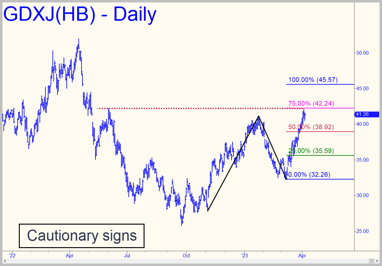 GDXJ - Junior Gold Miner ETF (Last:41.86) - Ricks Picks