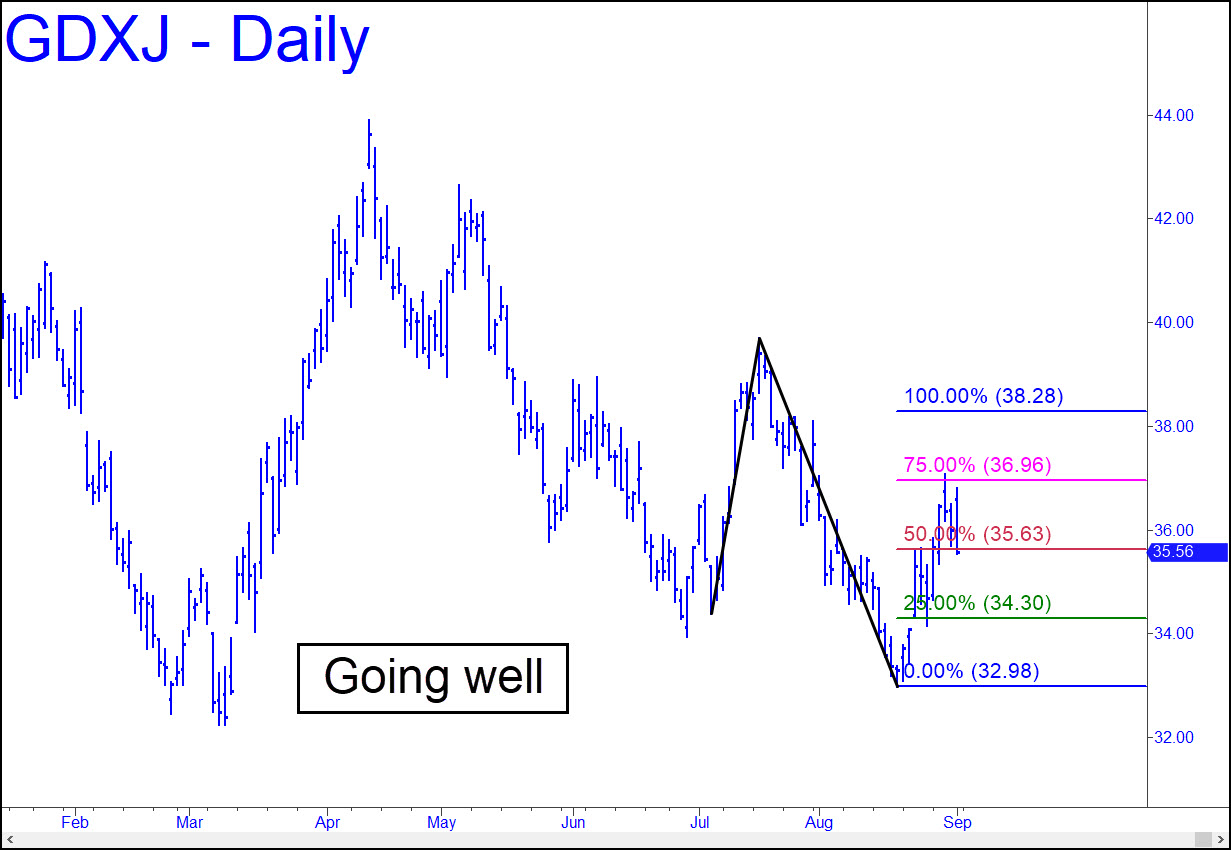 GDXJ - Junior Gold Miner ETF (Last:34.26) - Ricks Picks