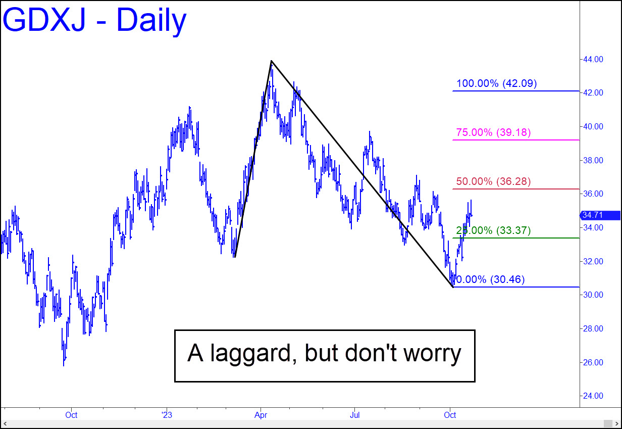 GDXJ - Junior Gold Miner ETF (Last:34.71) - Ricks Picks
