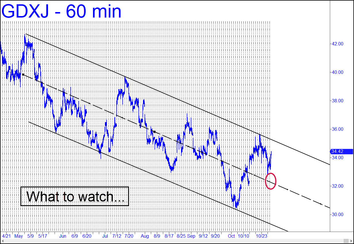 GDXJ - Junior Gold Miner ETF (Last:34.42) - Ricks Picks