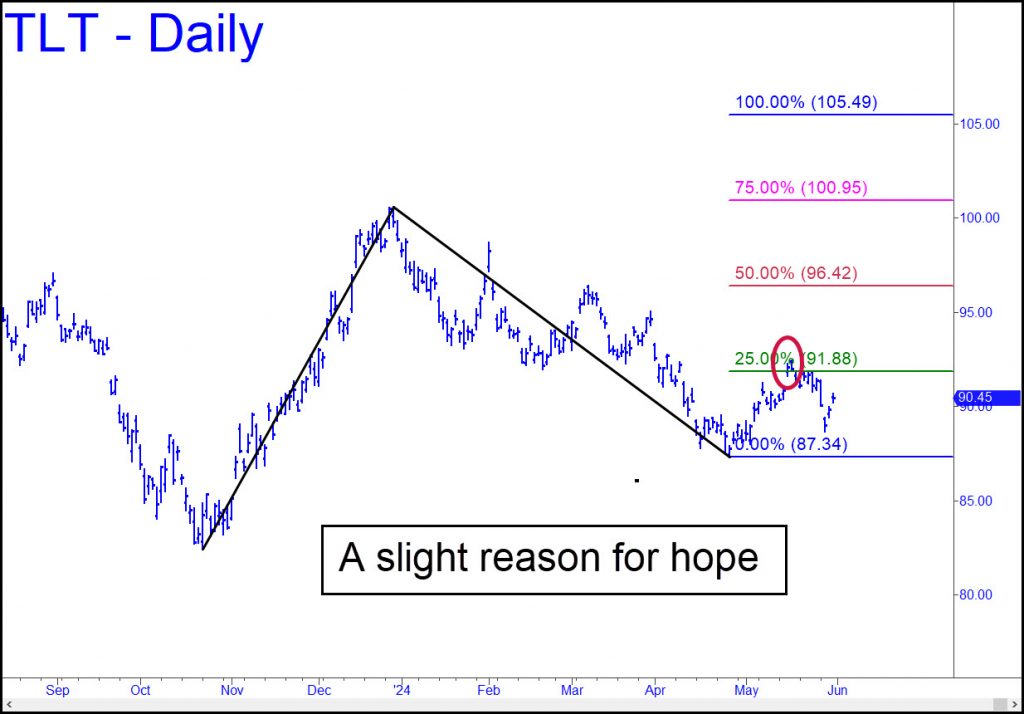 Rick's Picks - Rick Ackermen - Ricks Picks