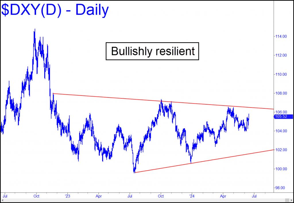 Rick's Picks - Rick Ackermen - Ricks Picks