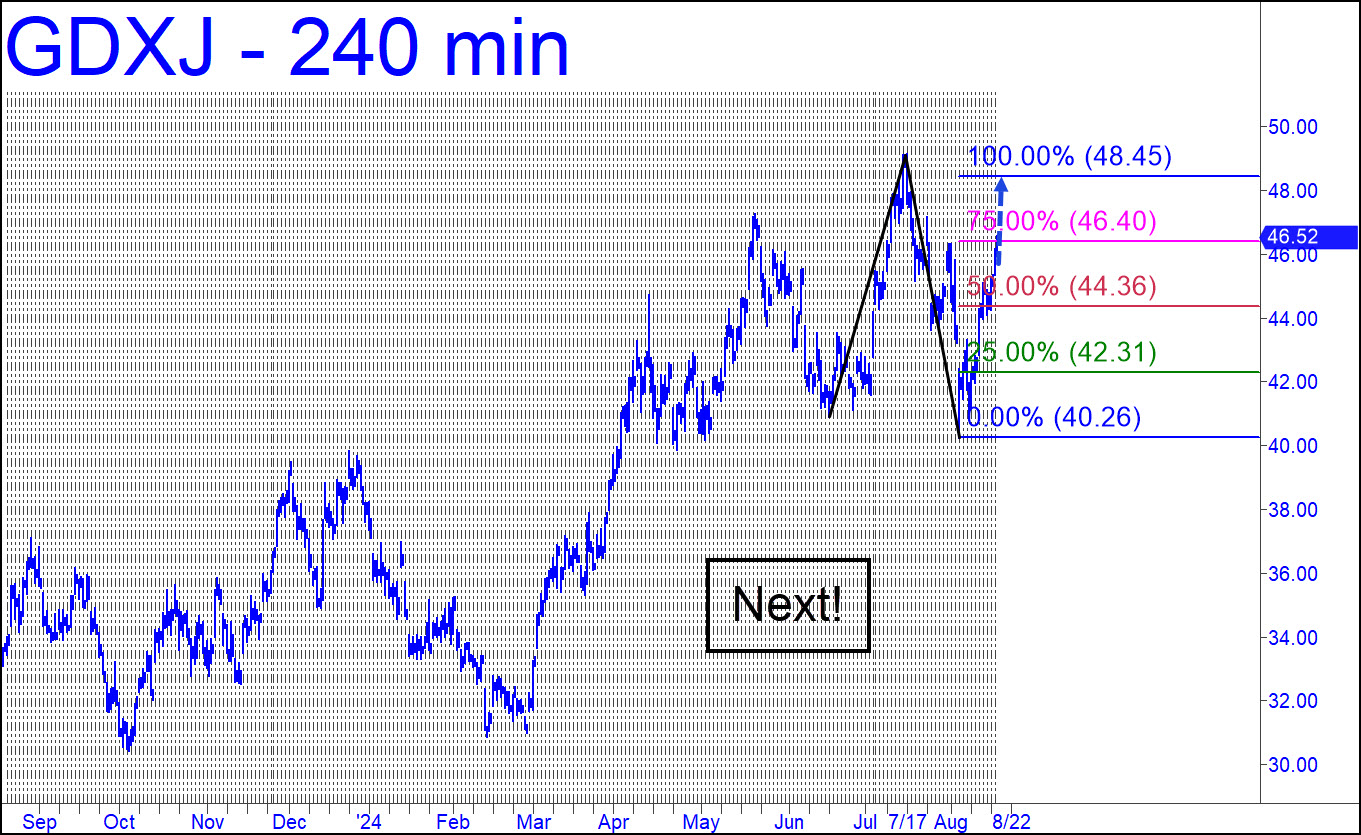 GDXJ - Junior Gold Miner ETF (Last:46.52) - Ricks Picks