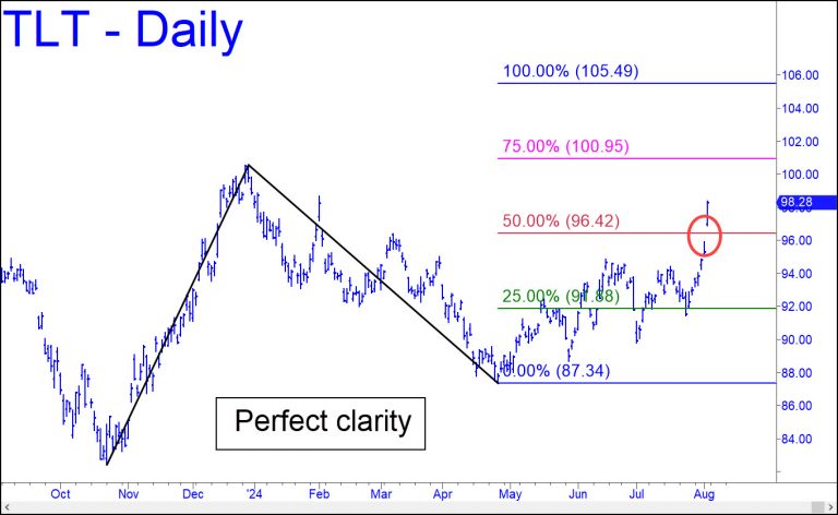 Rick's Picks - Rick Ackermen - Ricks Picks