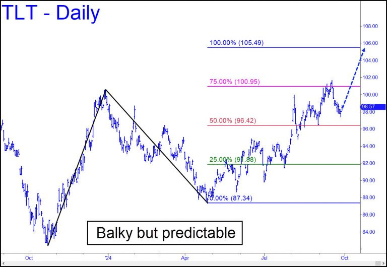 Rick's Picks - Rick Ackermen - Ricks Picks