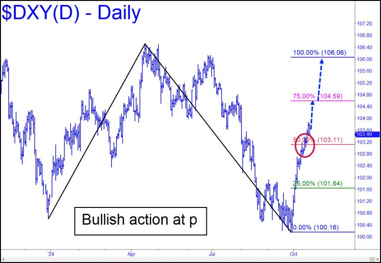 Rick's Picks - Rick Ackermen - Ricks Picks