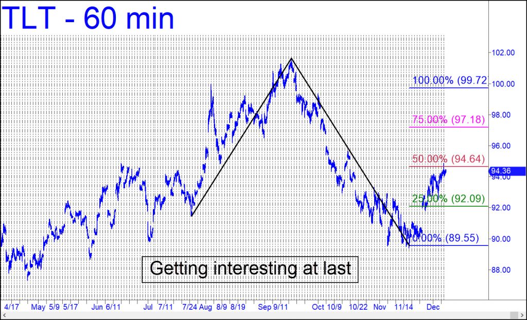 Rick's Picks - Rick Ackermen - Ricks Picks