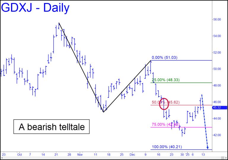 Rick's Picks - Rick Ackermen - Ricks Picks