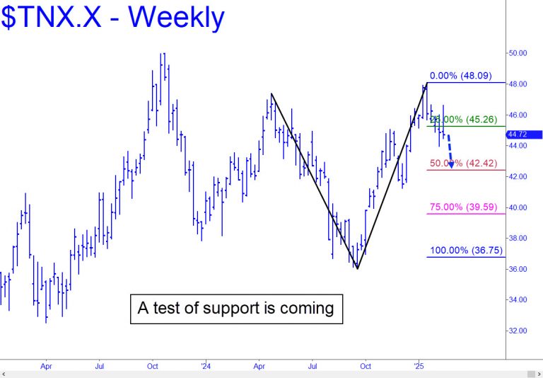 Rick's Picks - Rick Ackermen - Ricks Picks